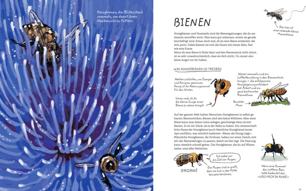 Schau genau hin! - Kinderbuchlesen.de